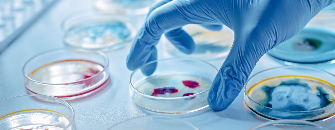 UniSR Università Vita-Salute San Raffaele - Milano Università Vita ...