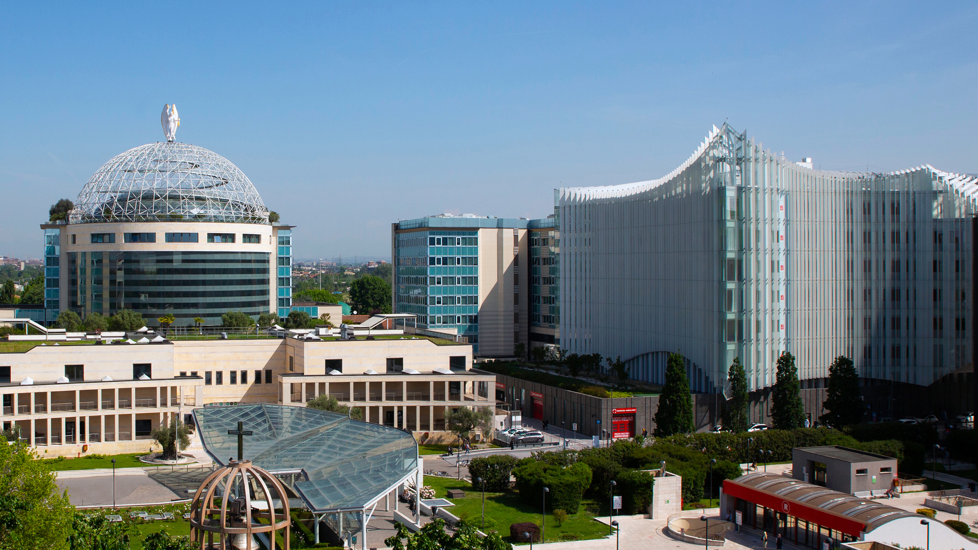 Acute myeloid leukemia: cells causing relapse identified at San ...